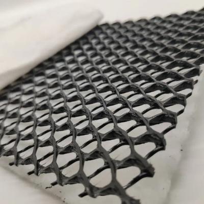 China Geonet de drenaje compuesto en HDPE 3D certificado CE/ISO9001/ISO14001 para diseño industrial en venta