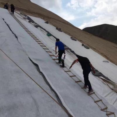 China Rutas de drenaje con malla de geonet de plástico de polietileno de densidad y cubierta vegetal en venta