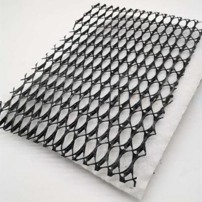 China HDPE 3D de drenaje de barrera de sal Geonet red geocompuesta para drenaje de jardines de carreteras de vertederos en venta