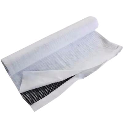 China 50 m de longitud Diseño moderno de drenaje tridimensional compuesto Geonet 6 mm de espesor para carreteras en venta