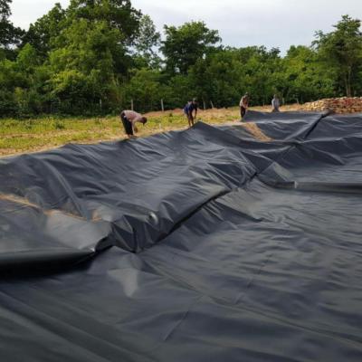 Cina Geomembrane Pond Liner Industrial Design Style Fish Tank per la protezione dell'ambiente in vendita