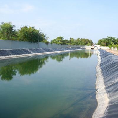 Cina 2 mm di rivestimento di geomembrana in HDPE rinforzato per una piscina durevole e duratura in vendita