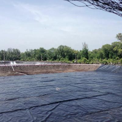 Cina ASTM GRI-GM13 Standard HDPE LDPE LLDPE Waterproof Pond Liner per progetti di paesaggio in vendita