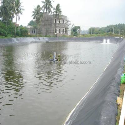 Cina Geomembrana nera di HDPE ecologica per stagni di pesci ASTM GRI-GM13 Standard in vendita