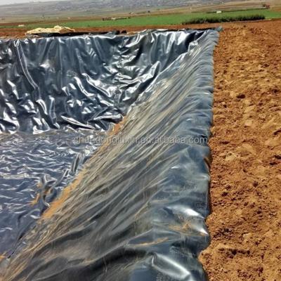 Cina Geomembrane lisce per la protezione delle pendici nei siti di discarica esterni prefabbricati in vendita