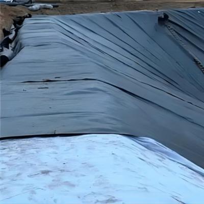 Cina Geomembrana di polietilene EVA ad alta densità per l'antifugazione sui pendii dei siti di discarica in vendita