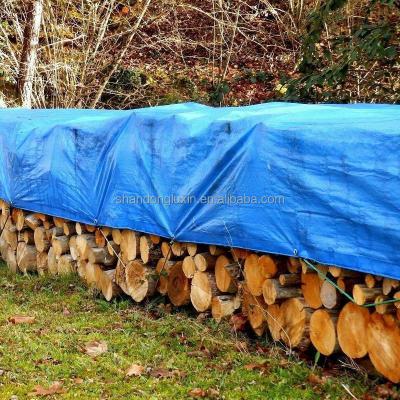 Cina Densità 6*6-16*16 Doppia facciata per esterno PE Tarpaulin Sheet Roll per Garden Truck Cover in vendita