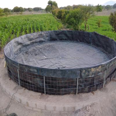 Cina Liner di geomembrana in HDPE nero per RPE Liner di stagno Spessore 0,1 mm-2,5 mm in dimensioni personalizzate in vendita
