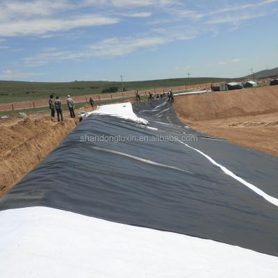 China Zwarte HDPE plasticscherm voor vijver voor vis garnalen zwembad Dam Consultatie Te koop
