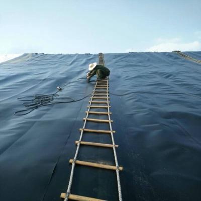 China ASTM GRI-GM13 Standaard 1 mm HDPE-geomembraan voor toepassingen op visvijvers en stortplaatsen Te koop