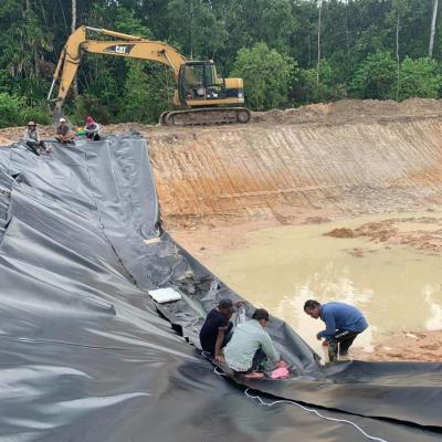 中国 水産農園用大型1mm HDPEジオメムラン池敷き 双面滑り/双面質感 販売のため