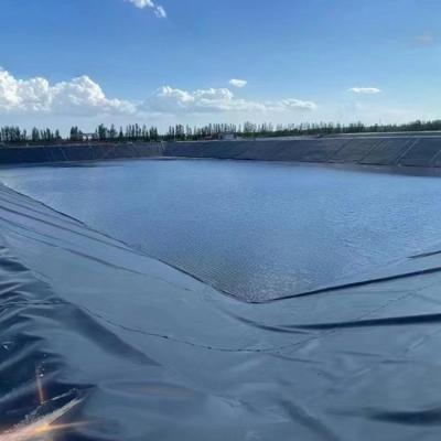 Cina Moderno design Geomembrane lisce prefabbricate in HDPE per stagni di pesce 0,5 mm 1 mm per serbatoi di stoccaggio dell'acqua in vendita