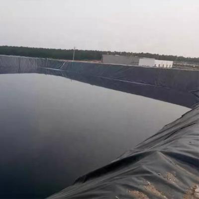 Cina Moderno stile di design doppio geomembrana liscia pesce stagno liner 1 mm per lago artificiale in vendita