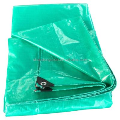 China Tela verde PE resistente ao envelhecimento e à humidade para cobrir artigos de peso médio à venda