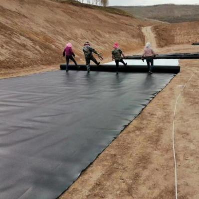 Cina ASTM GRI-GM13 Standard 1mm 2mm HDPE Geomembrane Fish Pond Liner per l'allevamento ittico in vendita