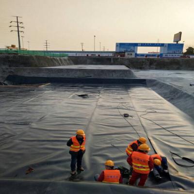 Cina Geomembrana di HDPE liscia impermeabile per rivestimento di stagni per pesci in stile di design industriale in vendita