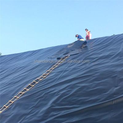 Cina Geomembrana liscia prefabbricata Geomembrana testurizzata 2 mm per progettazione impermeabile in HDPE in vendita