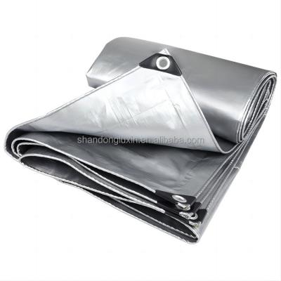 Cina 500D Conteggio dei filati Argento Grigio PE Tarpaulin Ignibile e impermeabile per esterni in vendita