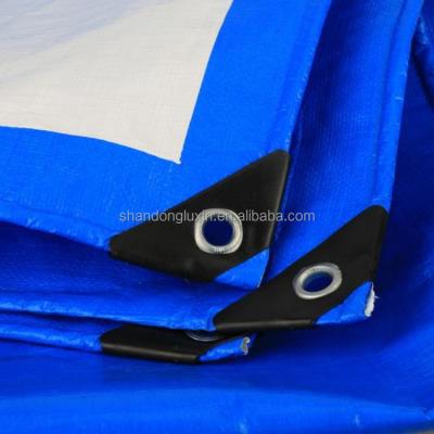 China Tela PE de peso leve azul-prata com densidade de pálpebras 6*6-16*16 no mercado do Vietname à venda