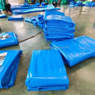 Cina Rolla di telo a doppia faccia in colore personalizzato per il rivestimento dei camion in altri tessuti in vendita