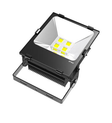 China Luz de inundación externa estándar, luces de inundación llevadas al aire libre decorativas 250w en venta