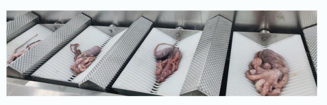 Weigher functional components detail