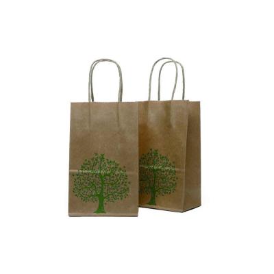 China Laminated 250g Printed Paper Bags with Handle Custom Printed Recyclable for sale