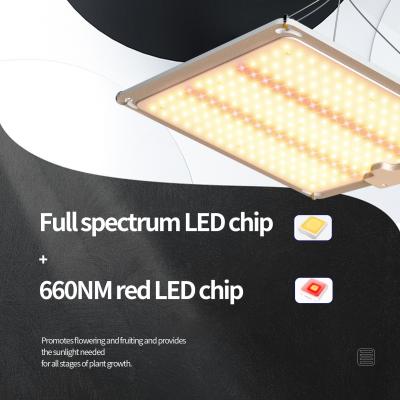 China Led Panel 3x3 Grow Light Plant Lamp Light 600w for sale