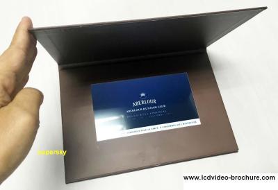 Cina Video biglietti di auguri per il compleanno LCD registrabili in vendita