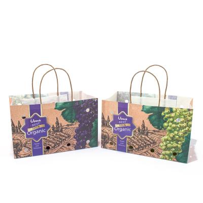 China Espessura quadrada dos sacos de papel 100gsm do fruto Compostable com punho à venda