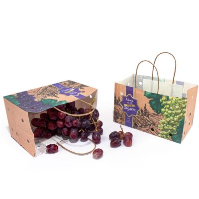 China Sacos de papel do fruto da cor de CMYK Compostable para afastado para viagem à venda