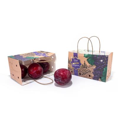 China Sacos de papel do fruto do punho da corda da torção para o empacotamento alaranjado das uvas à venda