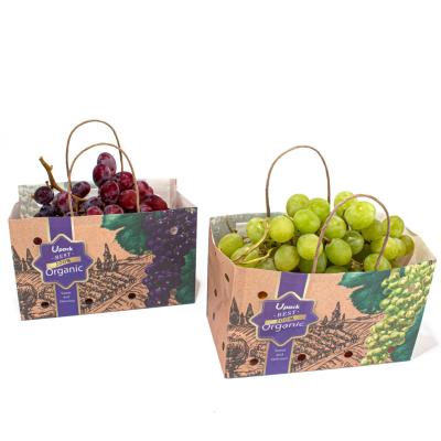 China Sacos de papel de frutas impressos OEM sustentáveis cor marrom/branco personalizados à venda