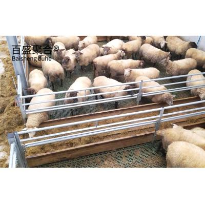 Cina Corpi prefabbricati per bovini Cavalli Capre e pecore Struttura in acciaio da costruzione rapida in vendita