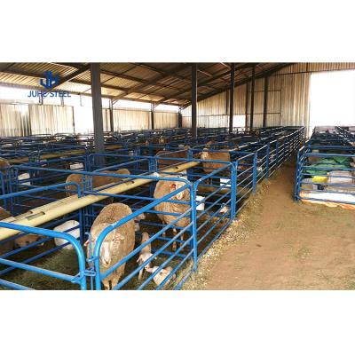 Cina Edificio agricolo prefabbricato di acciaio di grado standard ASTM per alloggi per bovini e pecore in vendita