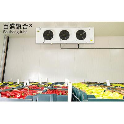 China 20ft Mobile Container Cold Room Freezer for Fish Vegetable Fruits Ice Cream Storage for sale