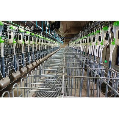 Cina AutoCAD Drawing Design Steel Frame Pig Farm Structures Building for Poultry Husbandry Edificio per l'allevamento di pollame in vendita