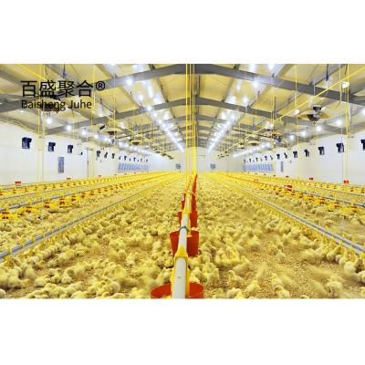 Cina Acciaio allevamento allevamenti allevamenti pollame allevamenti polli con tolleranza ± 1% in vendita