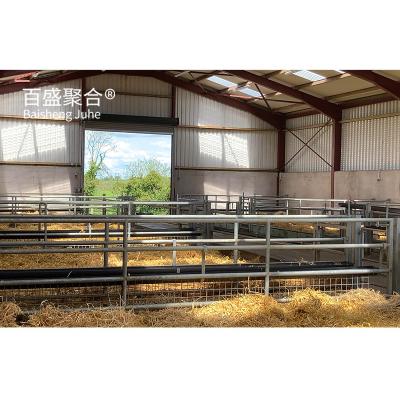 Cina C.Z. personalizzabile in forma di canale di acciaio Purlin Sheep Shed Casa per la gestione del bestiame in vendita