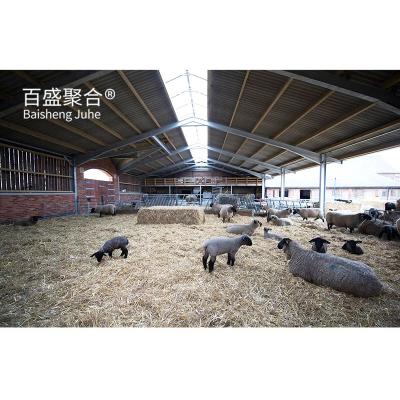 China Sandwich Panel/Roofing Steel Sheet Prefab Livestock Barn for Sheep Goat Cattle Cow for sale