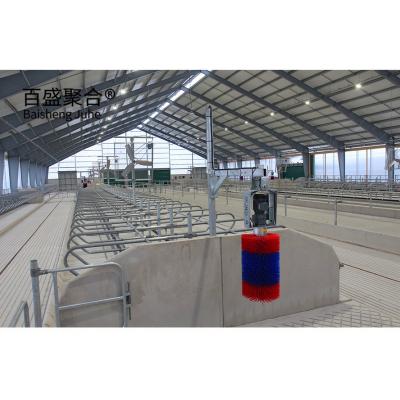 中国 鋼鉄構造 牛棚 牛乳農場 豚/羊/ヤギ農場 家 牛棚 アルミ合金窓 販売のため