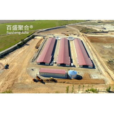 China High Tolerance A Type Layer Chicken Cage for 1000-10000 Laying Hens on Steel Farming for sale