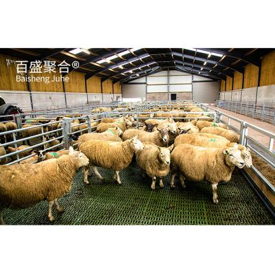 中国 オーダーメイドカラー 鋼筋梁 羊/牛/豚/牛/ヤギの飼育家のためのプリファブ動物棚 販売のため