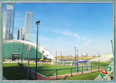 중국 모래 임명은/모래 견뢰도 축구 합성 잔디 물 절약을 방지합니다 판매용