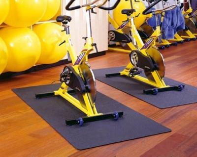 Cina Stuoia ellittica del pavimento della bici di esercizio di rettangolo sotto l'anti stuoia di vibrazione della pedana mobile in vendita