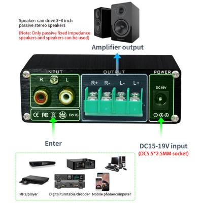 中国 TPA3116 デジタルサウンド パワーアンプ 100W X2 ミニハイファイ ステレオ D級 家庭用シアター用オーディオ パワーアンプ 販売のため