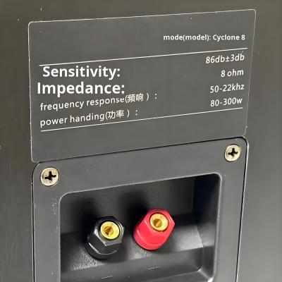 Cina Abito:Cyclone n. 8 Altoparlante ad amplificatore casalingo a tre vie dipinto Set con amplificatore SR8800 e subwoofer da 10 pollici in vendita