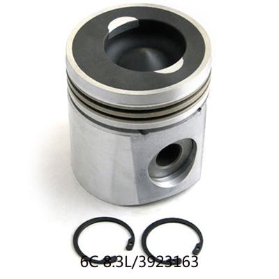 Cina Pistone del motore del pistone 3923163 114mm di Cummins 6C 8.3L di misura in vendita