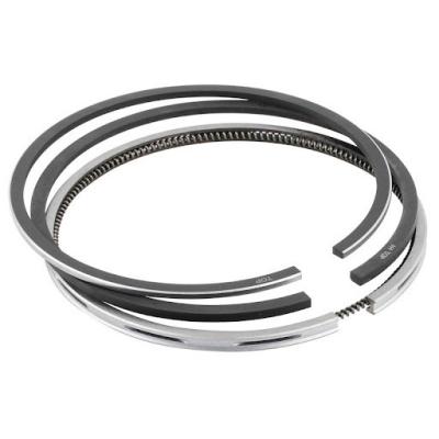 Cina C10 Diesel Engine Parts 125mm Engine Piston Ring For Excavator in vendita