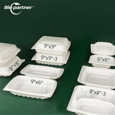 Κίνα MFPP Disposable Food Container Biodegradable Take Away Fast Food Packaging for Camping προς πώληση